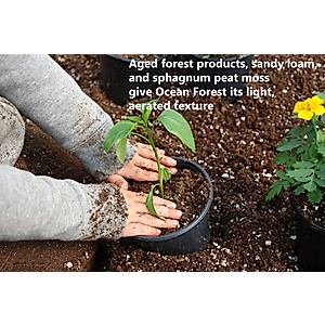 Ocean Forest Potting Soil Mix Indoor Outdoor for Garden and Plants | Plant Fertilizer | 12 Quarts (4 Pack) | The Hydroponic City Stake