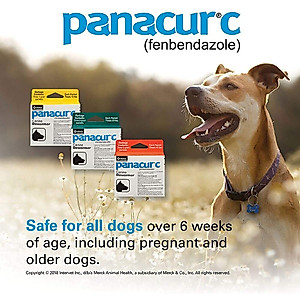 Panacur C Canine Dewormer, Net Wt. 12 Grams, Package Contents Three, 4 Gram Packets (4-(Pack))