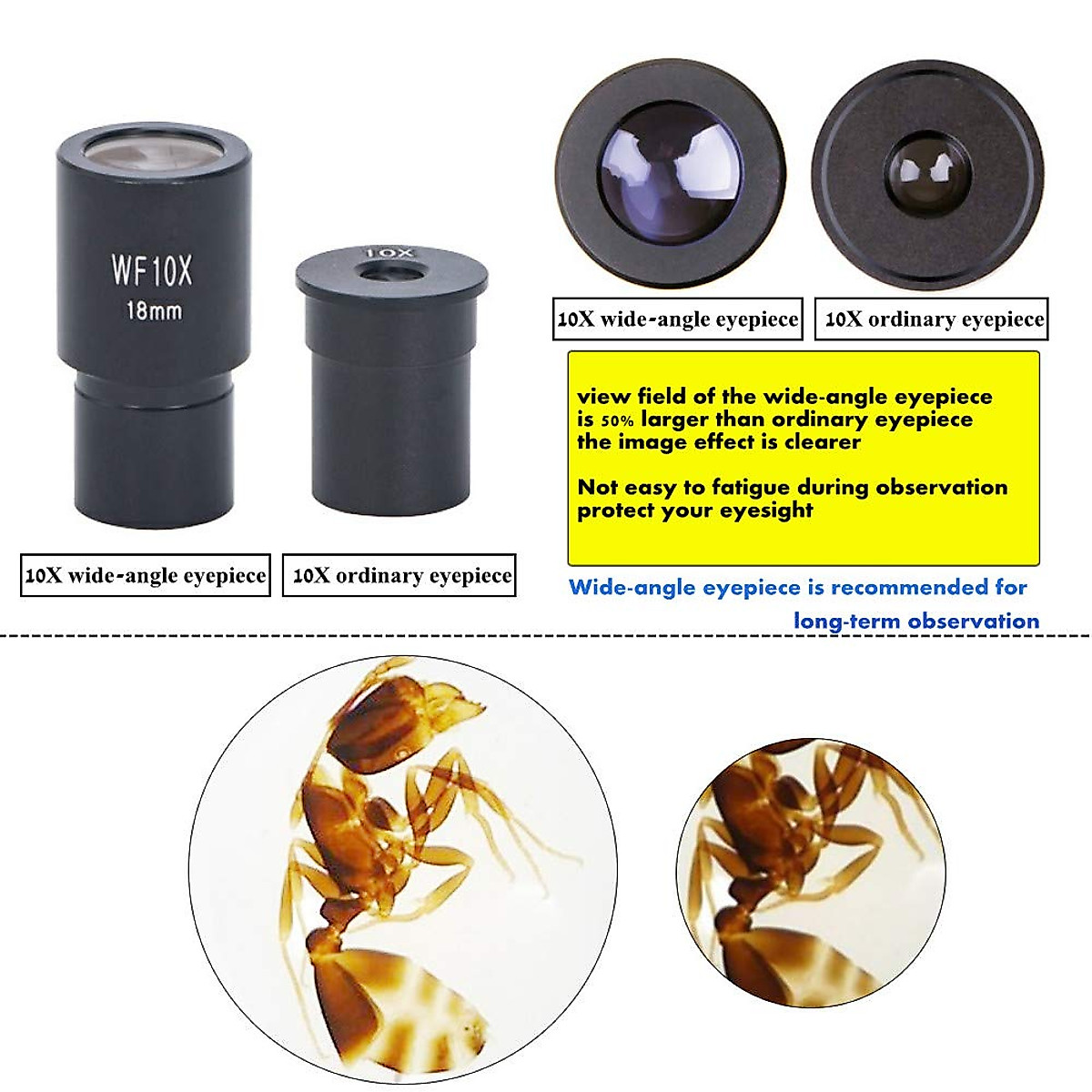 DM-WF001 10X Widefield Eyepiece,Microscope Eyepiece Lens,23.2mm Lens for Compound Biological Microscopes,Industry Microscope