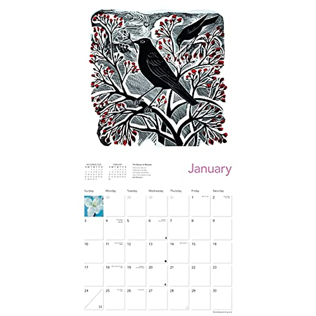 Angela Harding Wall Calendar 2021 (Art Calendar)