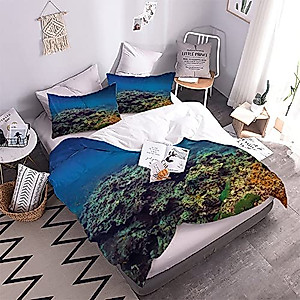 Quilt Cover Queen Size Coral Reef 3D Bedding Sets Underwater World Duvet Cover Breathable Hypoallergenic Stain Wrinkle Resistant Microfiber with Zipper Closure,beding Set with 2 Pillowcase