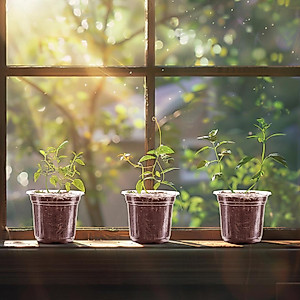 SupKing Clear Nursery Pots 5/4/3.5 Inch Plastic Planter with Drainage Holes, Small Starter Seed Starting Trays for Seedling with Bonus 15pcs Plant Labels（12pcs）