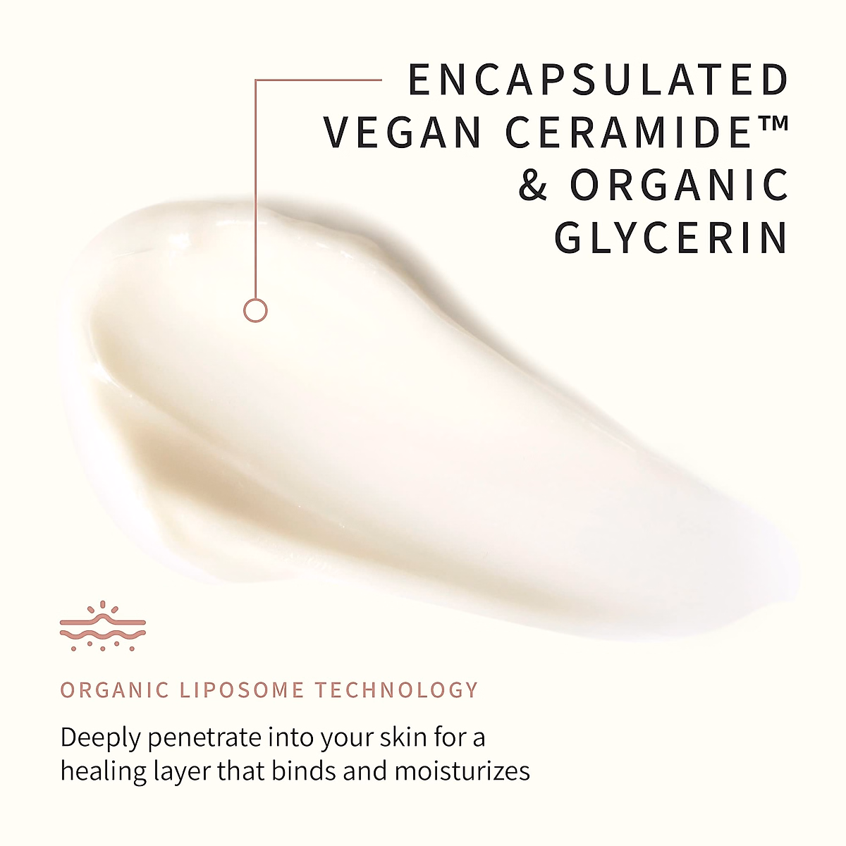 PURE'AM Authentic Barrier Cream - Korean Moisturizer For Dry & Sensitive Skin & Acne, 2.5 Fl Oz, 75ml, Vegan