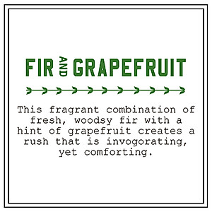 Barr-Co. Fir & Grapefruit Glass Tumbler Candle, Woody Citrus Scent, 120-Hour Long Burning Soy Wax Candle, Scented Candles for Home, Bathroom & Office, 20 oz