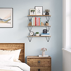 Wallniture Colmar Floating Shelves for Living Room Decor, 24" Wall Shelf Kitchen Organization and Storage Shelves for Bathroom Accessories, Bookshelf Set of 3, Burnt