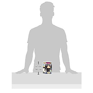 Funko Pop! Heroes: Birds of Prey - Huntress