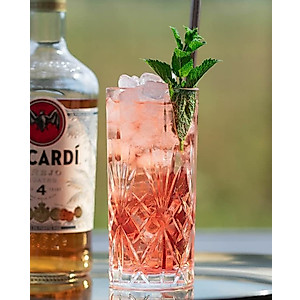 RCR 25766020006 Melodia Crystal Hi-Ball Cocktail Water Tumbler Glass, 23 x 15.5 x 15.5 cm, Clear