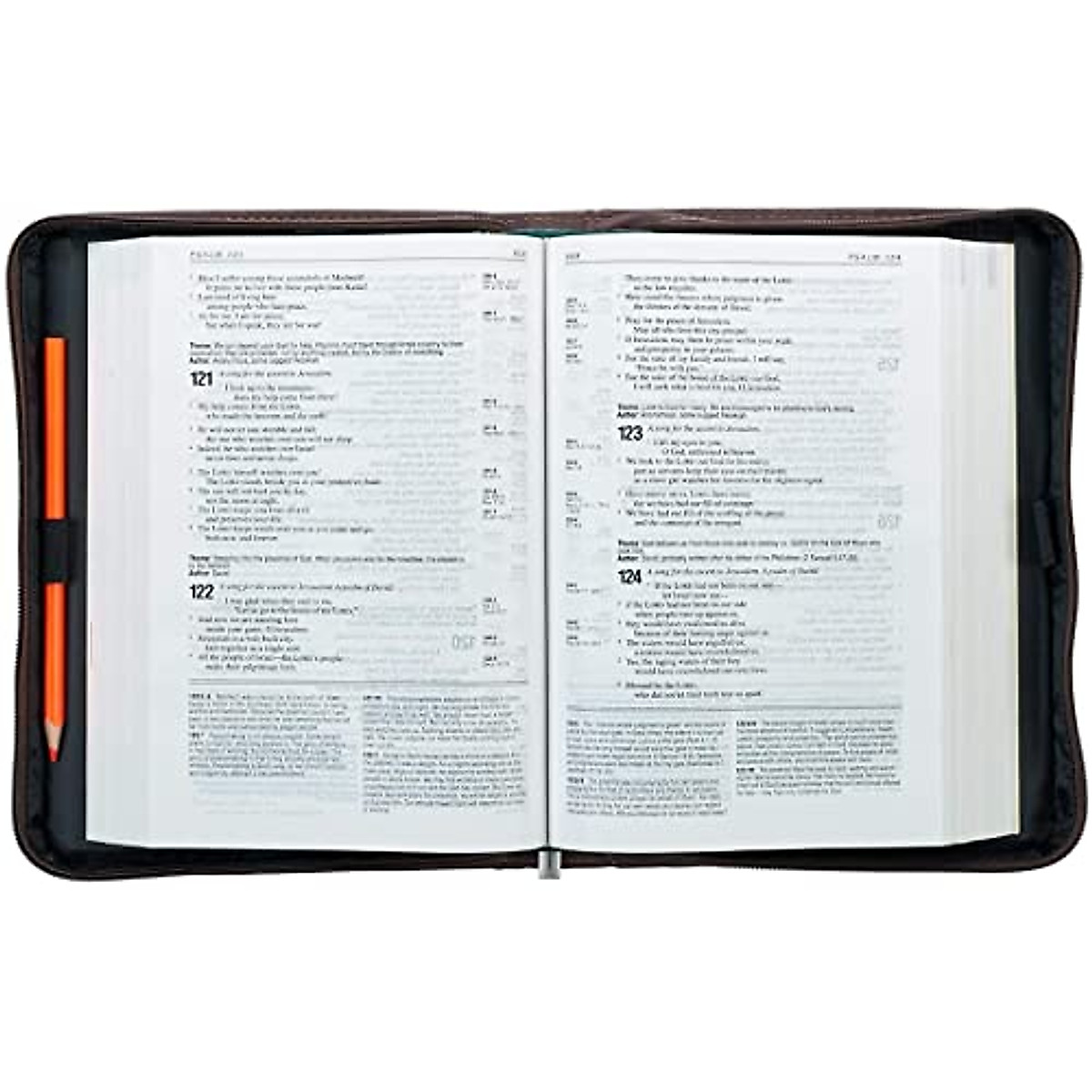 Personalized Custom Bible Cover for Men Brown Philippians 4:13 Faux Leather Christian Gift for Father, Brother, Son, Grandpa, Grandson Laser Engraved Imprinting Your Text Name (Medium)