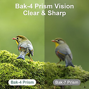 DRANBOL 12X25 Mini Pocket Binoculars for Adults Kids, Small Compact Binoculars for Bird Watching, Opera Concert