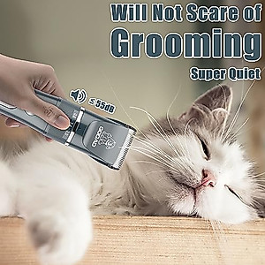 Gooad Cat Grooming Kit, Cat Clippers for Matted Hair, Cordless Cat Shaver for Long Hair, Low Noise Paw Trimmer, Cat Hair Trimmer for Grooming,Quiet Pet Hair Clippers Tools for Cats Dogs (Blue)