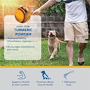 Ayush Pet CoCurcumin with Coq10, Muscle and Joint Pet Superfood Powder, Heart and Digestion Support, Small or Large Animals, Young and Senior Pet Supplement by Ayush Herbs, 5.2 Ounces