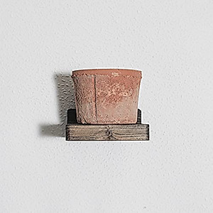 Freezing point Small Floating Shelves for Wall Set of 2 Natural Wood 4Inch Mini Wall Shelf Decor Plant Display Collectibles Mounted Kitchen Bathroom Bedroom Corner Decorative Storage Tiny Stand Brown