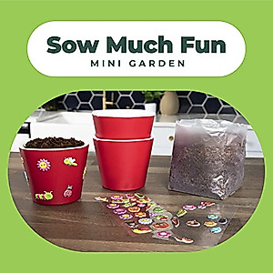 Window Garden Sow Much Fun Seed Startining Kit for Kig, Vegetable Planting and Growds, 3 Self Watering Planters, Soil, Seeds and Puffy Stickers. No Mess, Easy (Cucumber)