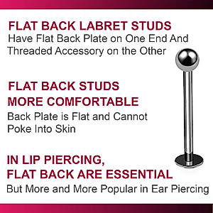 bodyjewellery 2pcs 16g Titanium Labret Studs Conch Piercing Lip Snake Bites Spider Ball Monroe Tragus Cartilage Helix B2ACX Pick Size (1/2 inch (12mm))