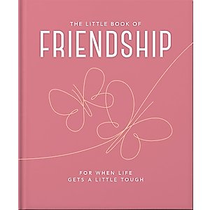 The Little Book of Friendship: For when life gets a little tough (Little Books of Wellbeing)