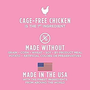 Instinct Raw Boost Toy Breed Grain Free Recipe with Real Chicken Natural Dry Dog Food, 4 lb. Bag