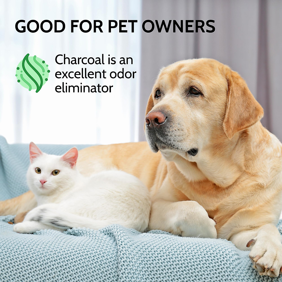 Veloxe Ceiling Fan Filters for Blades | 6-Pack Set Air Filters with Activated Charcoal | Odor Eliminator & Air Purifiers for Common Household Contaminants | Unscented Carbon Air Filters