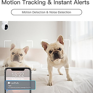 LAXIHUB 360° Pet Camera with Phone App, Indoor Security Camera for Baby/Dog, P2 Pan/Tilt Pet Monitor with Super IR Night Vision, Motion Detection & 2-Way Audio, Works with Alexa & Google Assistant