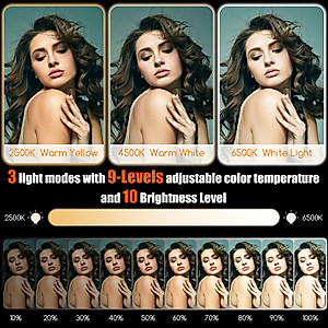 Selfie Light - BANSINE USB-Rechargeable LED Phone Light - Portable Photo Light with 97+ CRI, Up to 6500K Color Temperature for Selfie, Zoom Conference, Video, Makeup and Live Stream