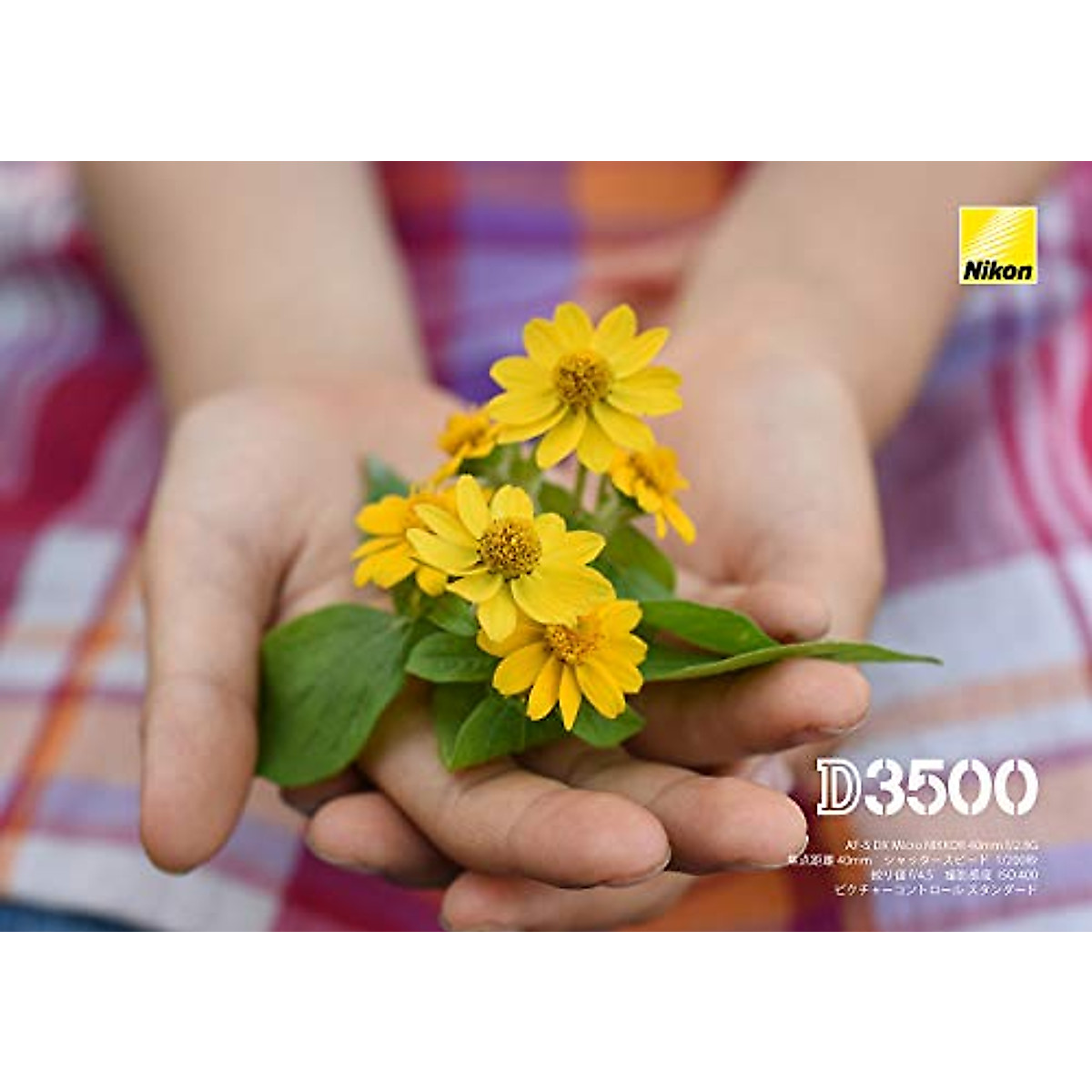 Nikon D3500 24.2MP DX-Format DSLR Digital Camera with AF-P DX NIKKOR 18-55mm VR Lens Kit - (Japan Import)