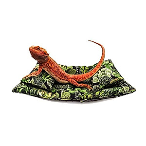 Chaise Lounge for Bearded Dragons, Cactus Party Fabric