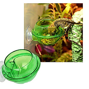 NA Reptile Food Bowl Anti-Escape Chameleon Bowl Cup Reptile Feeder Translucent Home Pet Feeder Supplies Accessories for Tortoise Gecko Snakes Chameleon Iguana