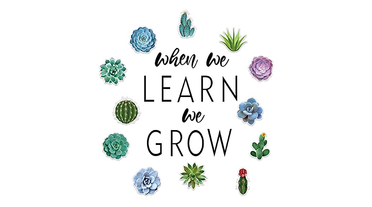 Succulent Cutouts Classroom Decor - 13 Piece Set