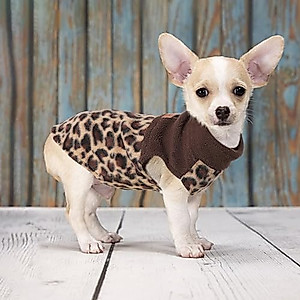 Dog Clothes for Small Dogs Boy Girl Leopard Fleece Chihuahua Clothes XXS~S Winter Warm Puppy Sweaters Boys Girls Tiny Dog Outfits for Teacup Yorkie Puppies Extra Small Pet Clothes, Medium, Leopard