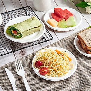 Vplus 100% Compostable Small Paper Plates, 300 Pack 6 Inch Disposable Paper Plates, Uncoated Biodegradable Plates Made of Sugar Cane Fibers, Perfect for Sandwich, Cake, and Snack