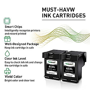 65 Ink Cartridges Black Combo Pack Ink Cartridge Replacement for HP 65 Black Ink Cartridge for DeskJet 3755 2655 3700 3720 3730 3735 2622 2624 2652 Envy 5055 5052 5058 for HP Ink 65(2Black)