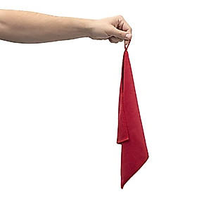 Smith & Basil Charcoal Ash Rake for Grill - Tool Poker - Grilling Accessories - with a Microfiber Cleaning Cloth