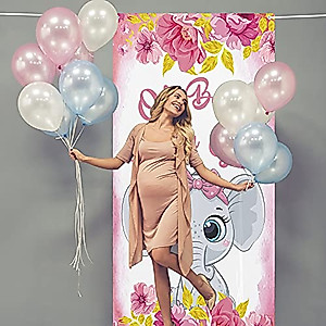 Dill-Dall Girl Baby Shower Door Banner, Oh Baby It's A Girl Sign, Girl Baby Shower / Gender Reveal / Welcome Baby Photography Background