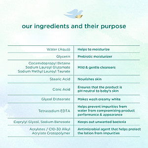 Baby Dove Tip to Toe Baby Body Wash For Baby's Sensitive Skin Sensitive Moisture Washes Away Bacteria, Fragrance-Free and Hypoallergenic Baby Soap, 13 Fl Oz (Pack of 3)