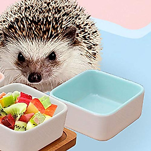 FUUIE Bowls for Food and Water Pet Bowl/Pet Universal/Ceramic/Orange Gray Blue/Bite and Anti-Turnover Easy to Clean