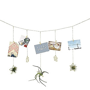 Newwe 5 Stars Kit Hanging Air Plant Holder Wall Gold Airplant Rack with Chains Home Wall Decor Boho Room Decoration Christmas Ornaments