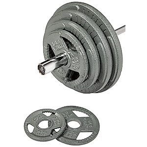 Sporzon! Powergainz Olympic 2-Inch Cast Iron Plate Weight Plate for Strength Training and Weightlifting, Gray POG-2INIP-45X2