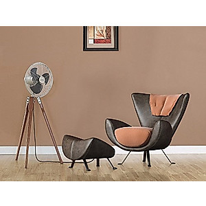 Fanimation Arden Pedestal Indoor Fan - Oil-Rubbed Bronze