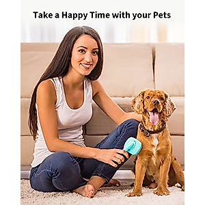 Glendan Dog Brush & Cat Brush- Slicker Pet Grooming Brush- Shedding Grooming Tools(Blue)