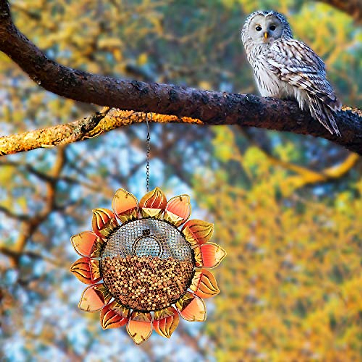 Wild Bird Feeder - Metal Bird Feeders, Sunflower Hanging Bird Feeder, Bird Seeds for Outside Wild Birds Patio & Garden Outdoor Decoration