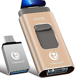 USB Flash Drive 256GB 3.0 USB Flash Drive Type c Flash Drive YSeaWolf photostick Mobile for USB External Storage, Type c, Android, PC USB Picture Stick USB Memory Stick for Phone Gold