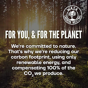 Wasa Swedish Crispbread, All-Natural Crackers, Fat Free, No Saturated Fat, 0g of Trans Fat, No Cholesterol, Kosher Certified, 3 Lb, Variety Pack (2 Sourdough, 2 Whole Grain)