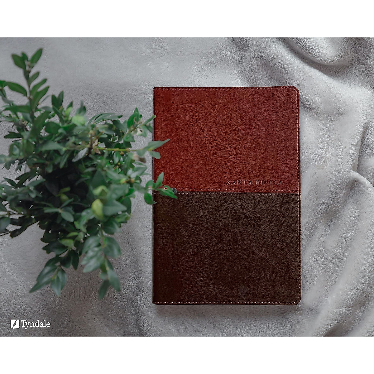 Santa Biblia NTV, Edición personal, letra grande, DuoTono (SentiPiel, Café/Café claro, Letra Roja) (Spanish Edition)