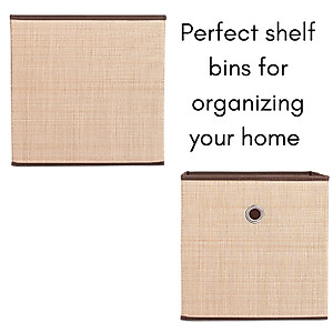 Internet's Best Canvas Storage Bin - 2 Pack - Brown - Box Container