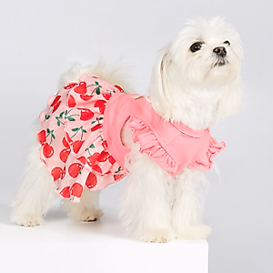 Fitwarm Thanksgiving Sweeter Than Pumpkin Pie Dog Dress 100% Cotton Puppy Costumes Pet Clothes Holiday Girl One-Piece Doggy Outfits Tank Top Vest Dresses Cat Apparel Orange Medium