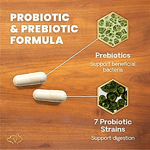 VetriScience Extra Strength Gut Health Easy-Open Capsules, Probiotic & Prebiotic Digestive Supplement for Dogs & Cats, Digestion, Gas & Diarrhea, Immune Support, 7.5 Billion CFU Per Capsule, 120 Count