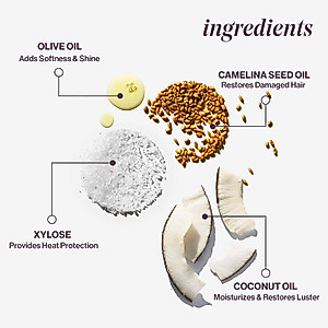 Pureology Color Fanatic Leave-in Conditioner Hair Treatment Detangler Spray | Protects Hair Color From Fading | Heat Protectant | Vegan | 13.5 Fl Oz