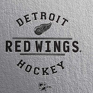 Skinit Decal Gaming Skin for PS4 Console - Officially Licensed NHL Detroit Red Wings Black Text Design