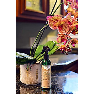 Southside Plants Weekly Orchid Food Fertilizing Spray - Ready to Use Mist Increase Humidity & Nutrients House Plants Farm - Safe Grow Formula for Orchid Leaves, Stems, Roots - 8oz