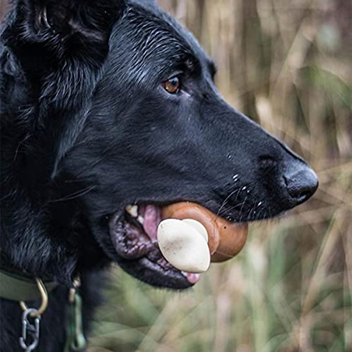 Barkbox Scented Food Themed Dog Toys & Chews, Tough Rubber & Nylon Super Chewer Treat Dispensing Puzzle Toys, Balls, & Teething Toys for Small, Medium, & Large Dogs & Puppies, Turkey Day Drumstick