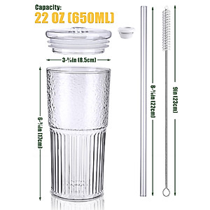NiHome High Borosilicate Glass Tumbler Cup with Lid and Straw, 22oz Clear Iced Coffee Glass Cups Drinking Jars Glasses Smoothie Tea Cup with Straws, Wide Mouth Water Tumbler With Muffler Ring - 2 Pack